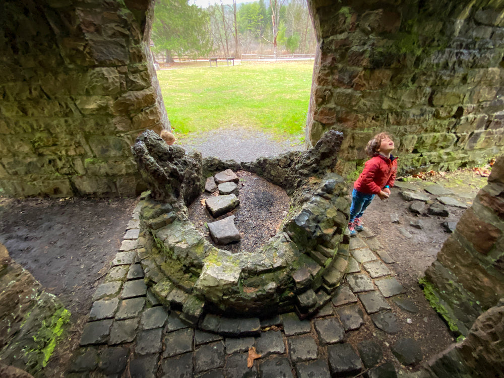 Chasing Lizards: How to Plan a Spontaneous Family Outing - Purple ...