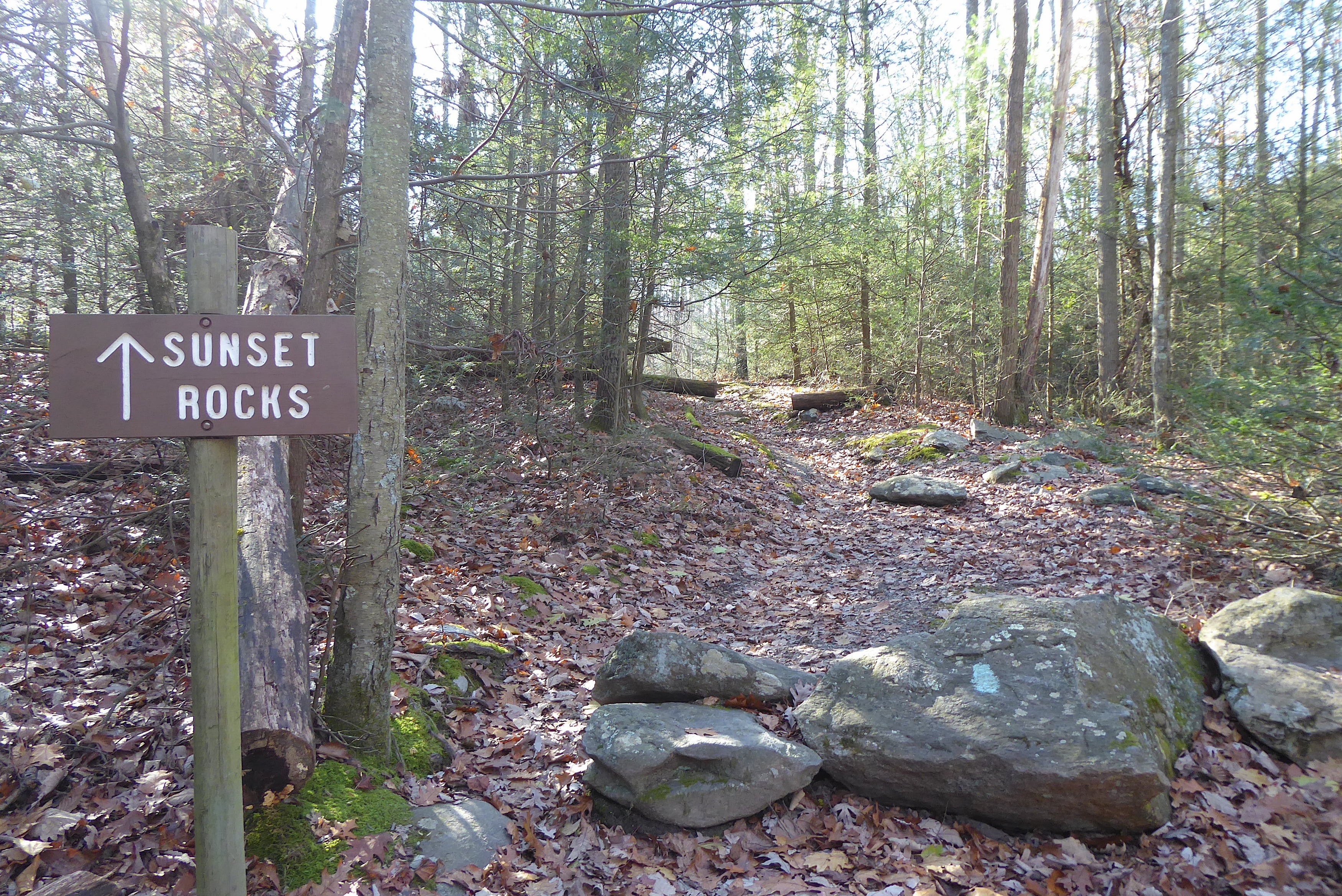 Camp Michaux and Sunset Rocks: History, Vistas and More in Michaux For ...
