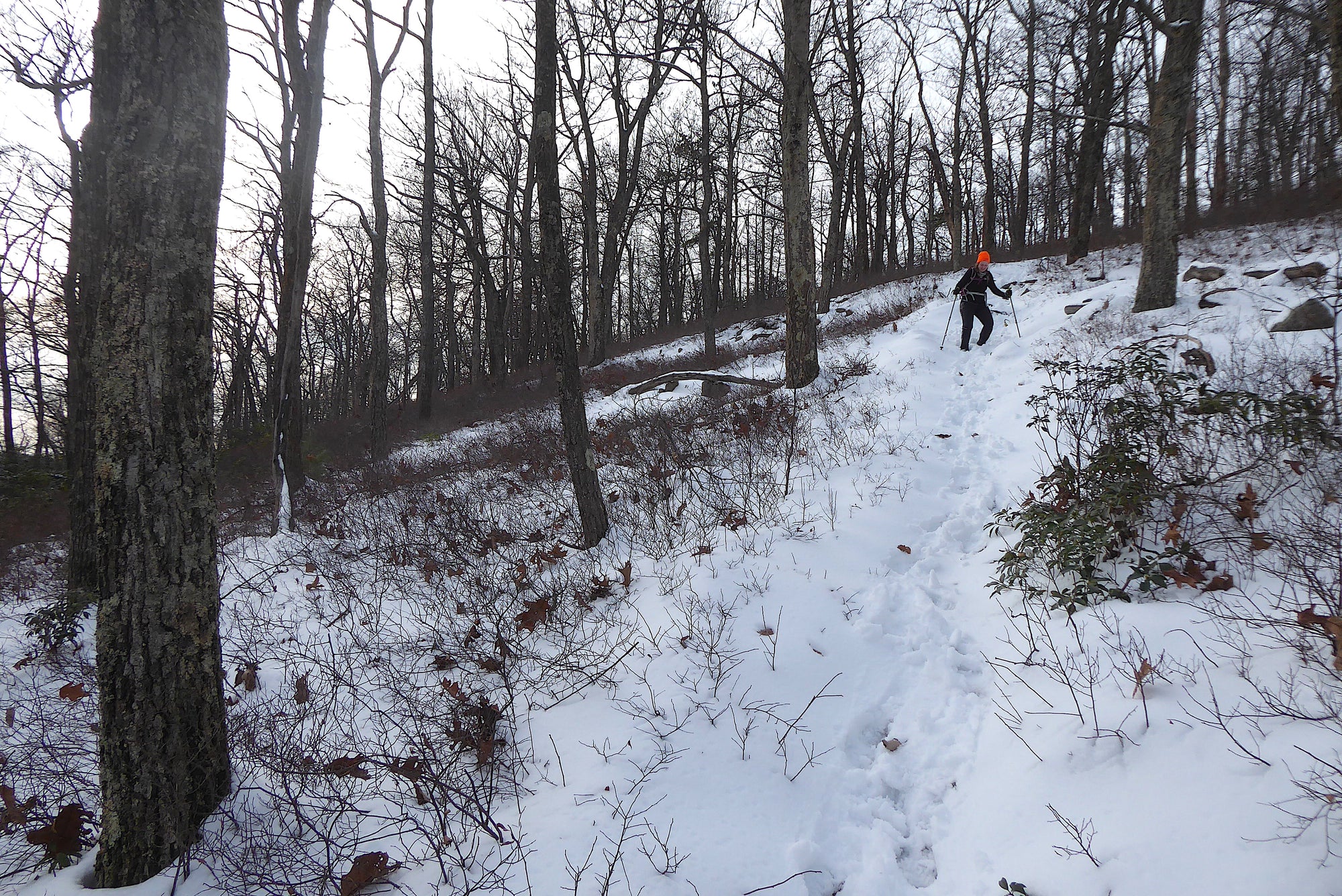 Traversing Ridges and Valleys in Rothrock State Forest, PA - Purple ...