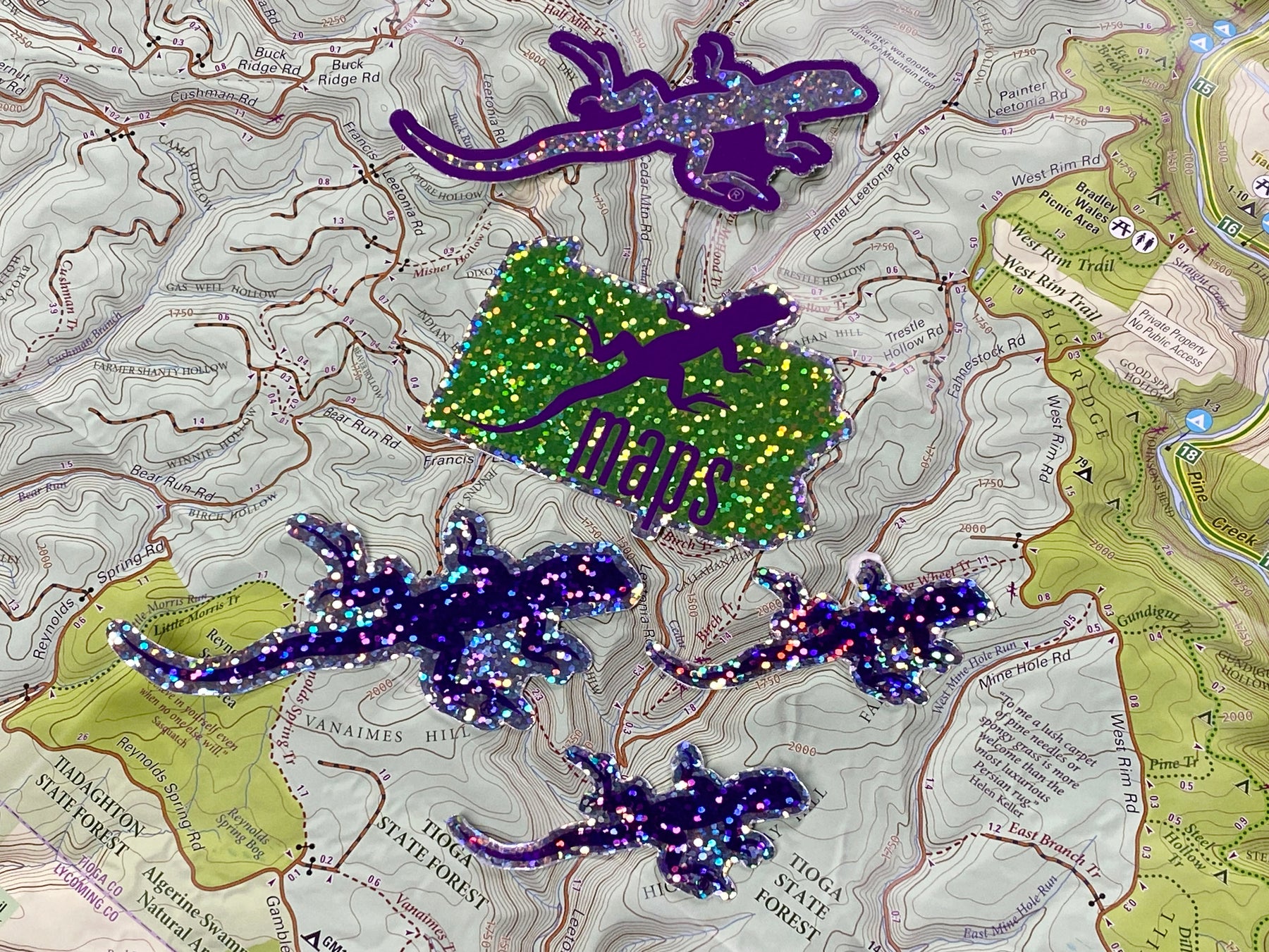 Lizard Gear & Stuff - Purple Lizard Maps