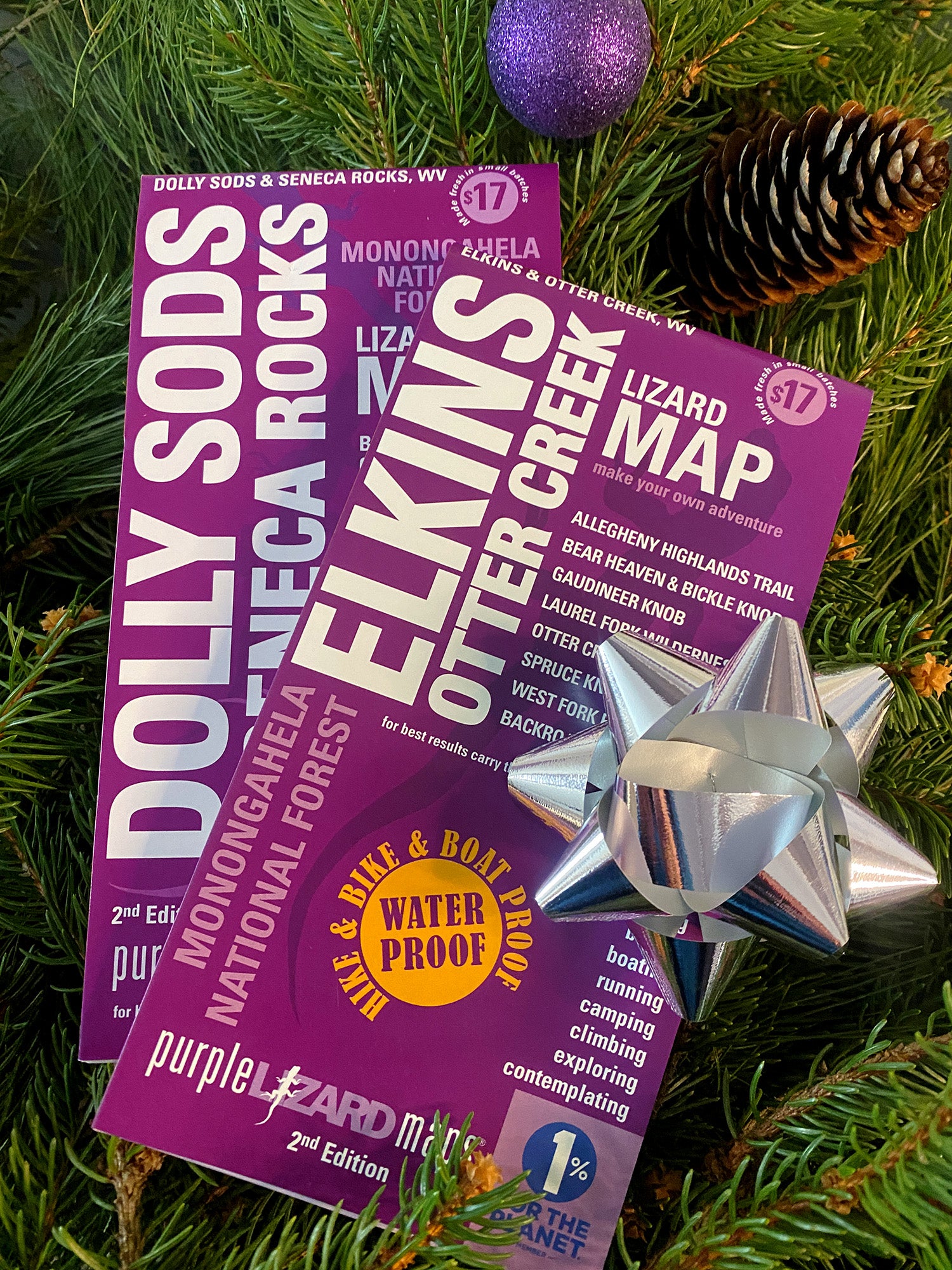 West Virginia Adventure Lists - Purple Lizard Maps