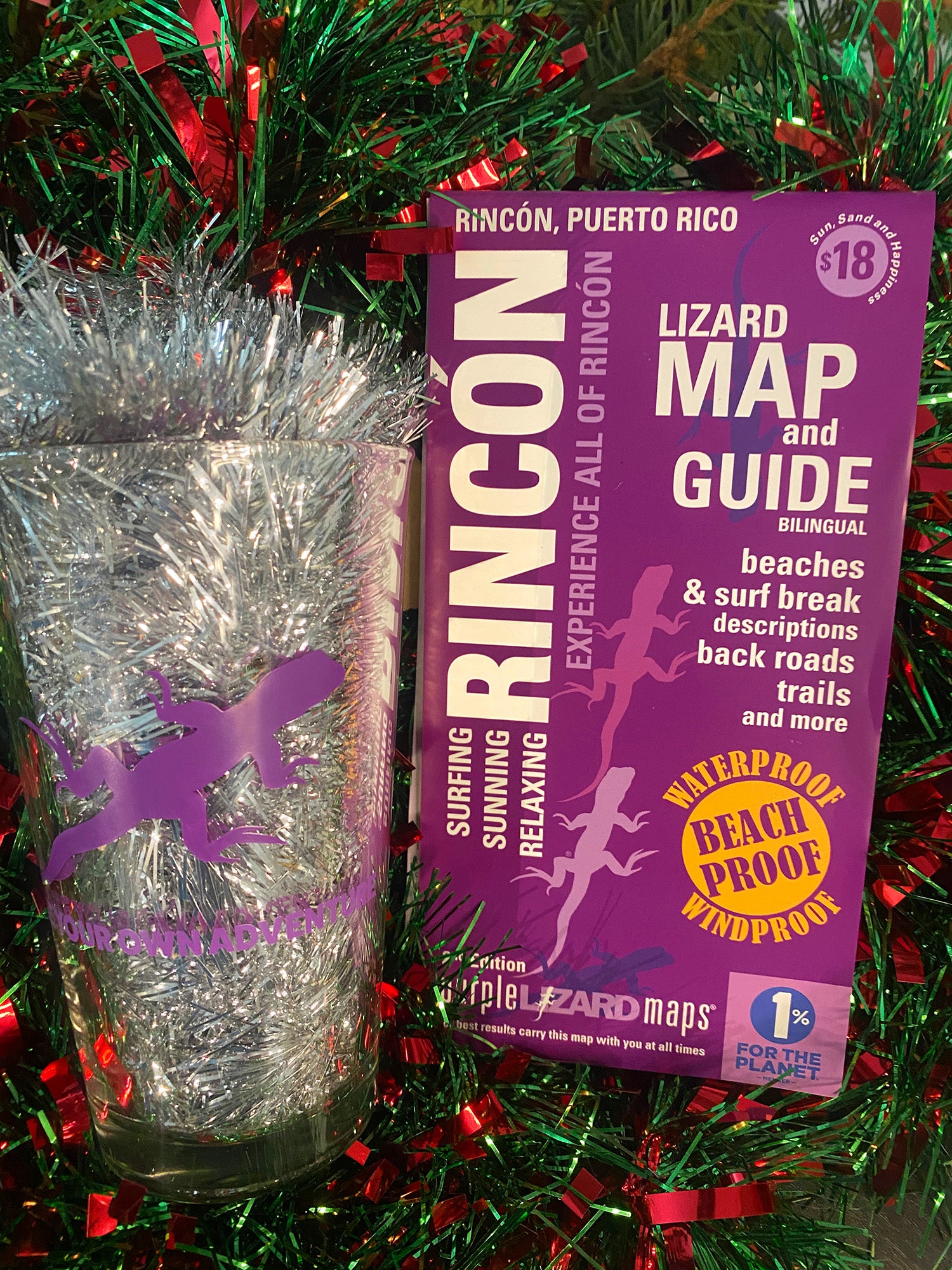 Rincón Puerto Rico Surf & Beach Map | Purple Lizard Maps