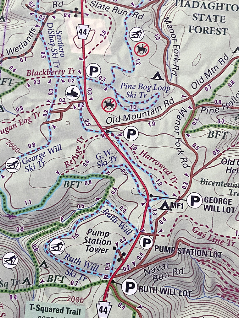 Pine Creek Lizard Map - Grand Canyon of Pennsylvania Trail Map - Purple ...