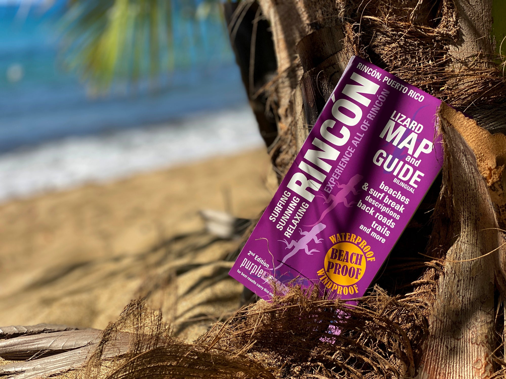 Rincón Puerto Rico Surf & Beach Map | Purple Lizard Maps
