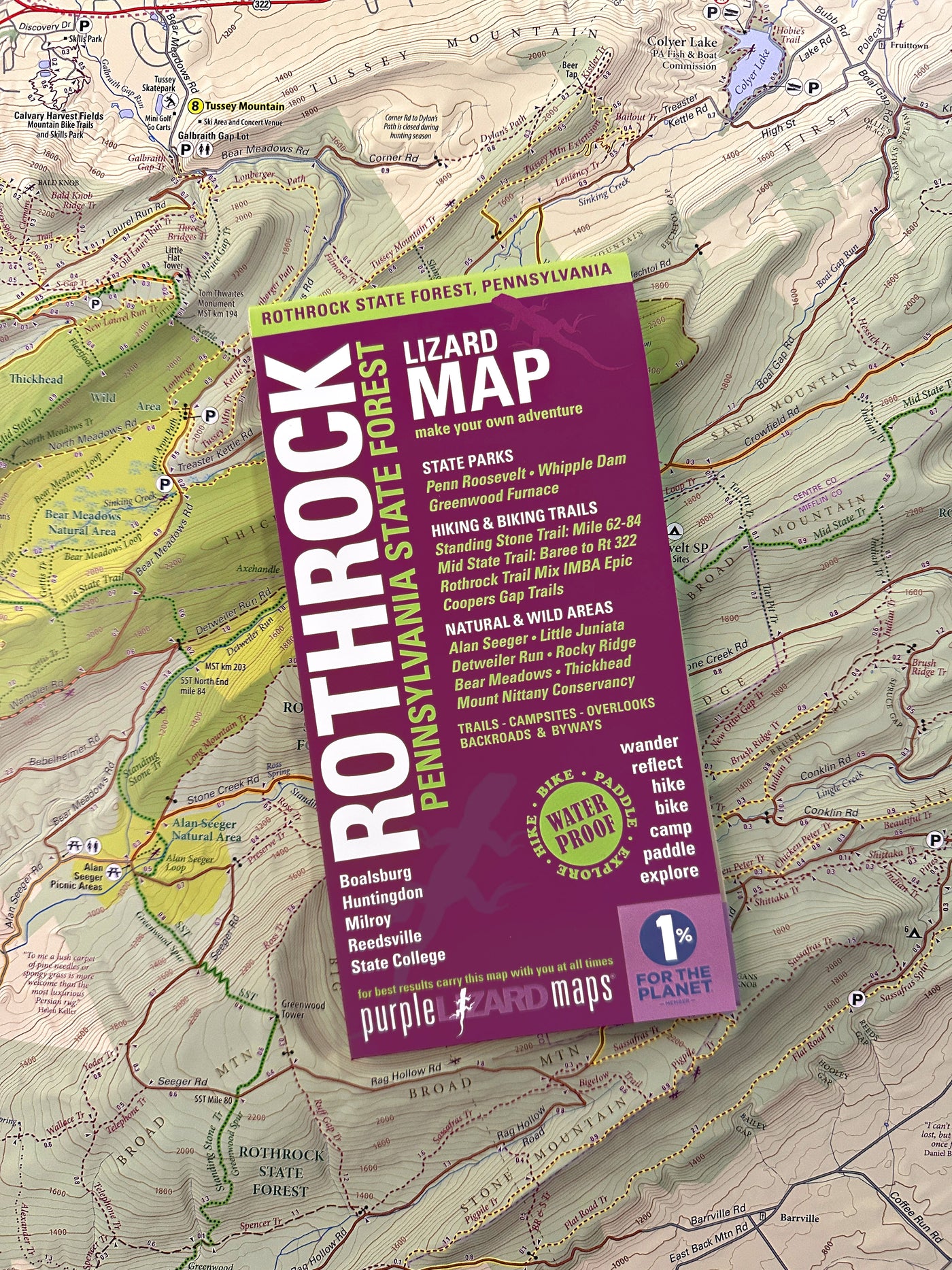 Map Shop - Purple Lizard Maps