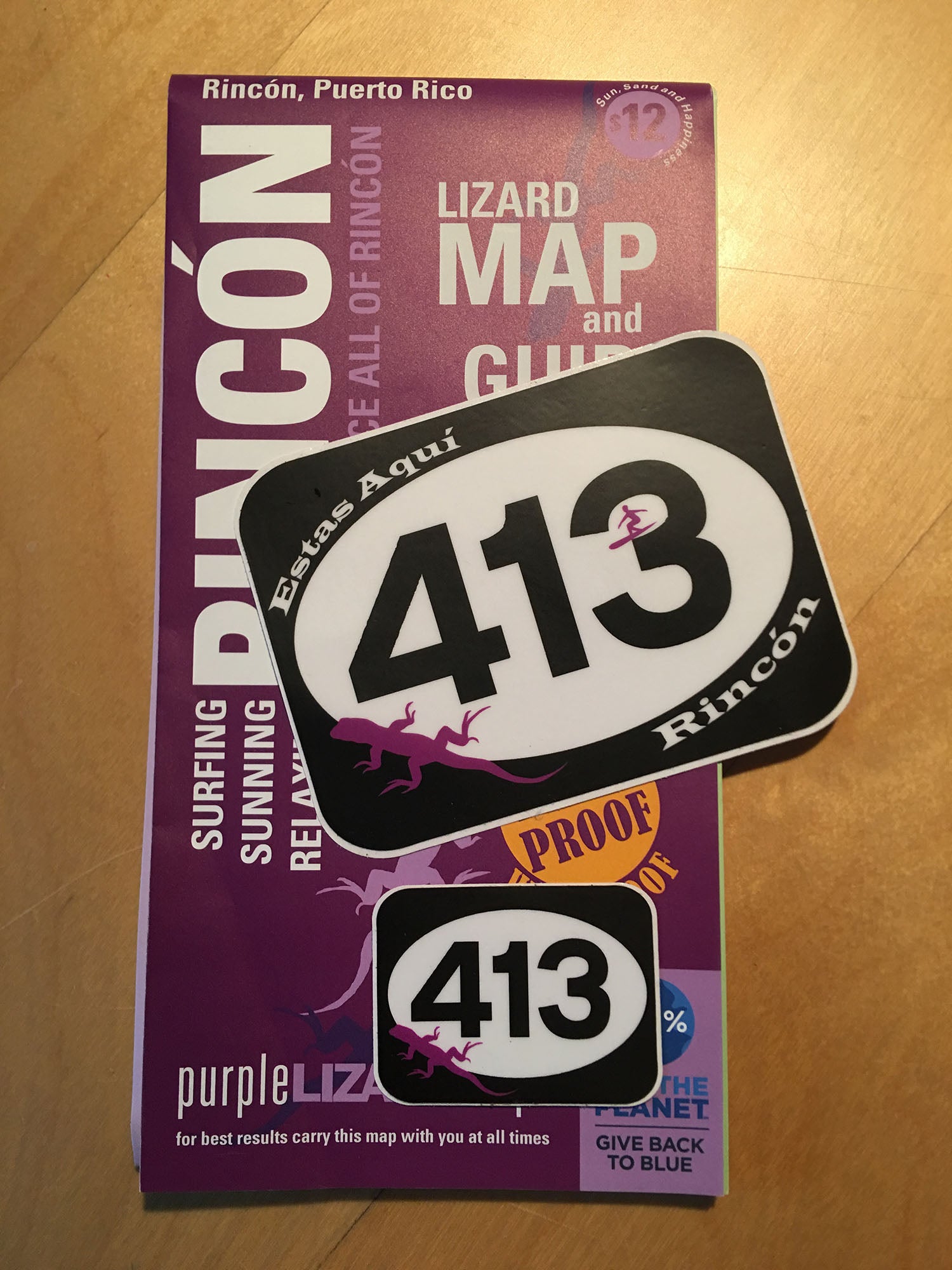 The 413 Lizard Stickers: a matched set - Purple Lizard Maps