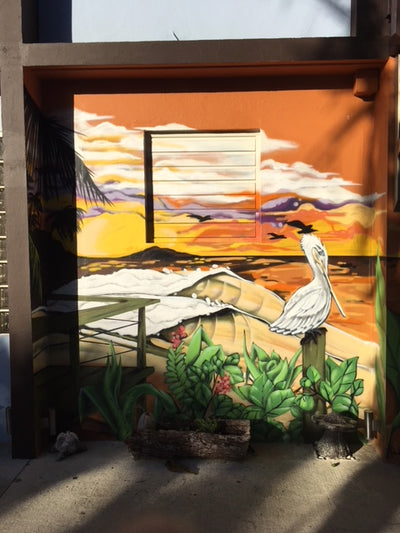 Rincon Puerto Rico Lizard Map: Surf Break, Beach & Vacation Guide ...