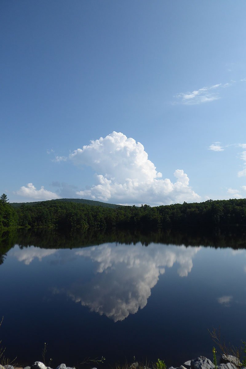 Michaux ~ Hiking, Biking, Exploring! - Purple Lizard Maps