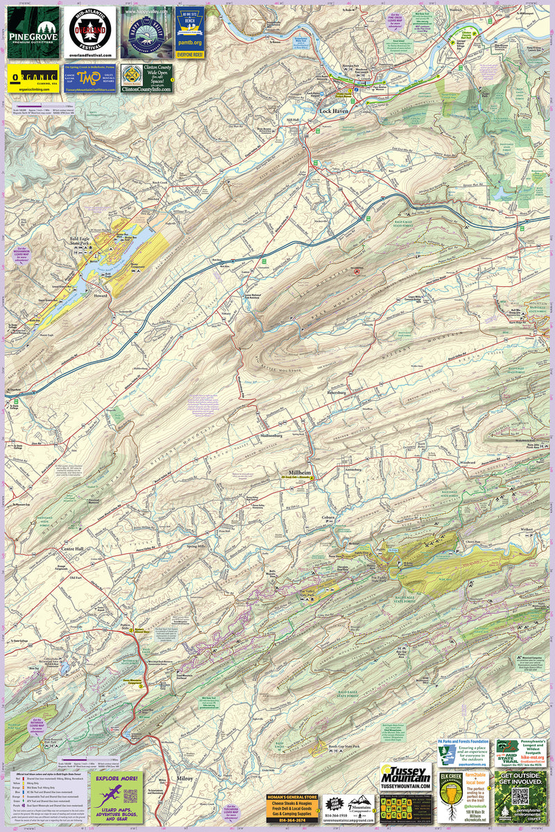 Bald Eagle Lizard Map, Pennsylvania - Purple Lizard Maps