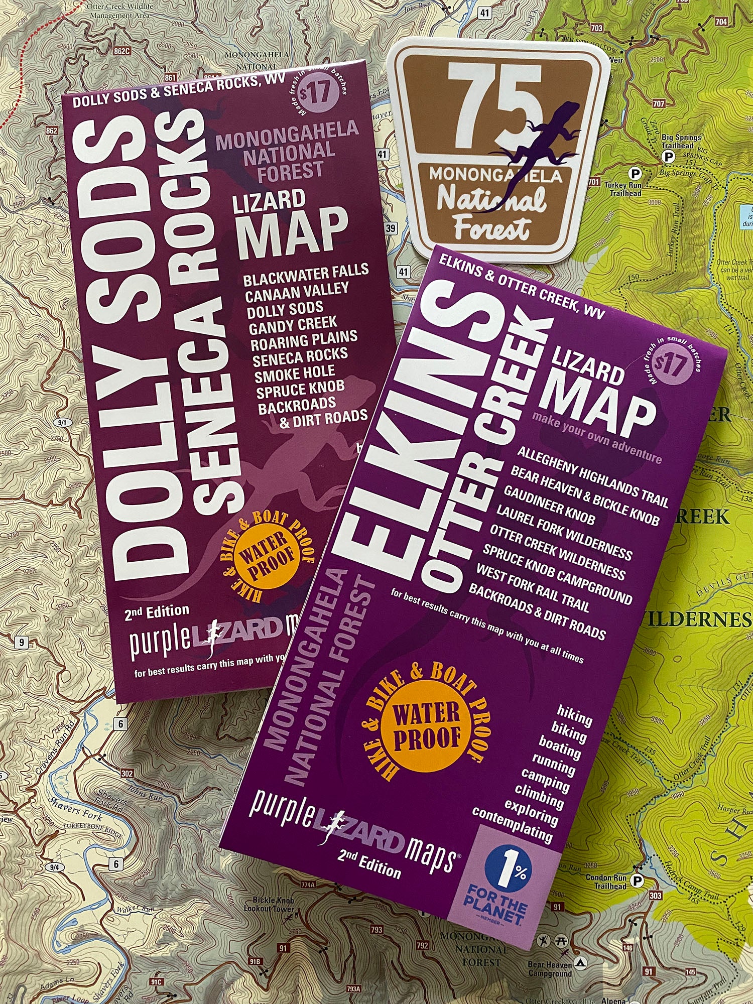 Map Store - the Lizard Map collection - Purple Lizard Maps