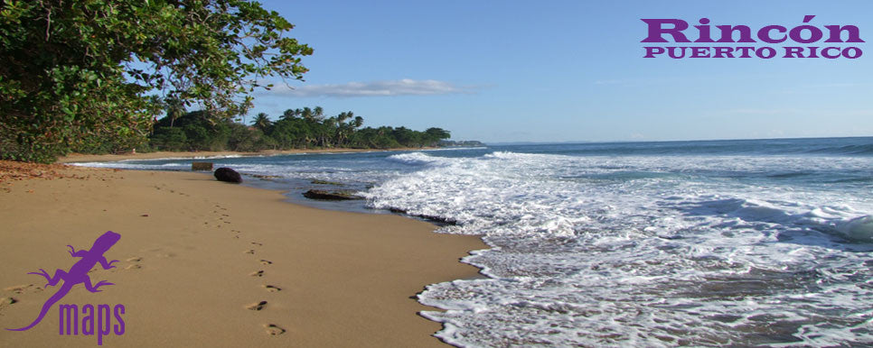 Rincon Puerto Rico Lizard Map: Surf Break, Beach & Vacation Guide ...